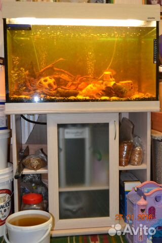 Аквариум с тумбой и рыбками