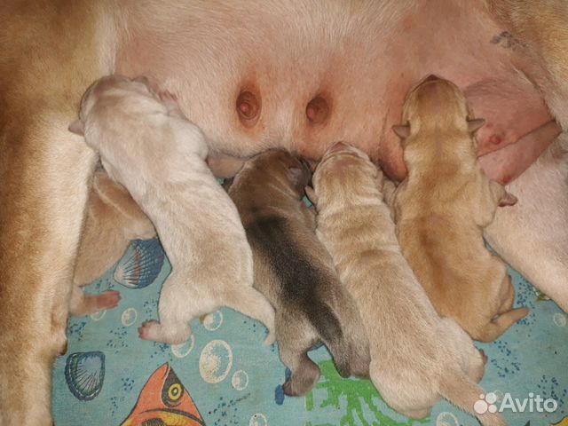 Готовые подарки на 8 марта