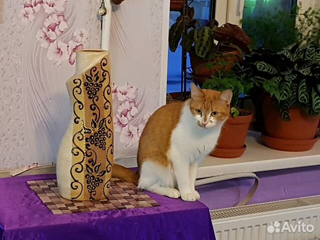 Лиза. Нужна любовь