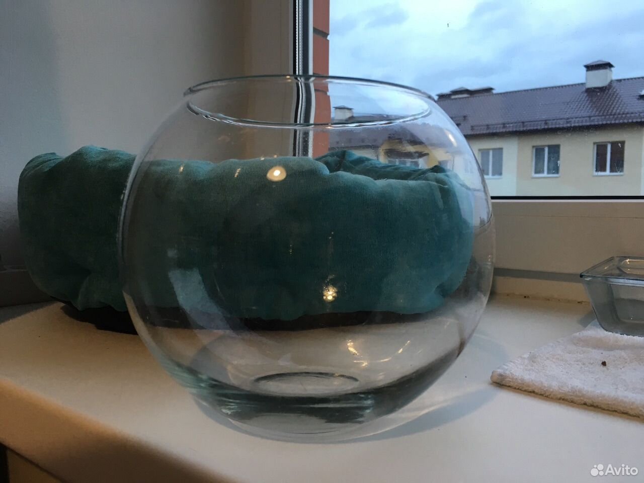 Аквариум шар 3 литра