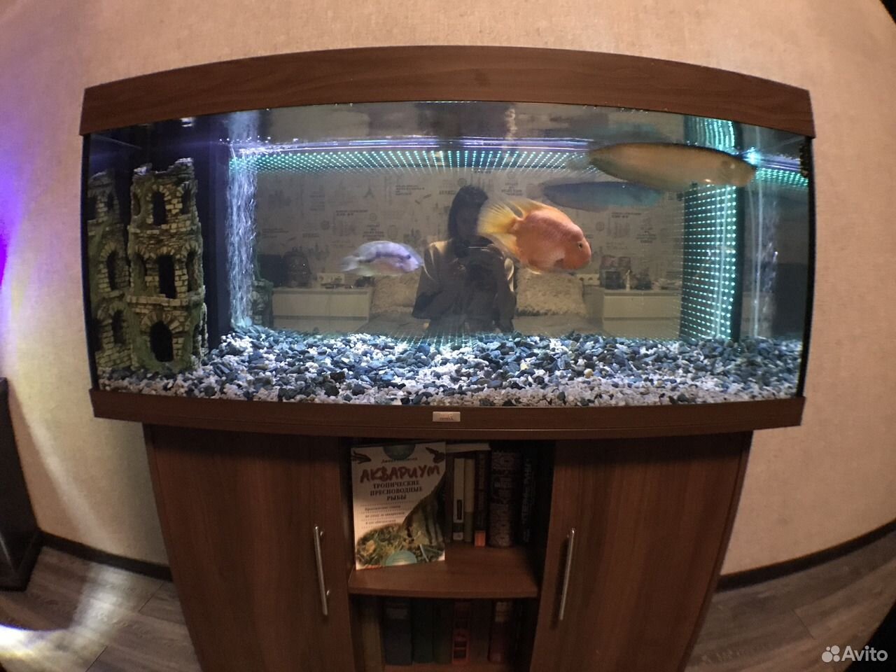 Аквариум Juwel RIO 240 литров с дизайном