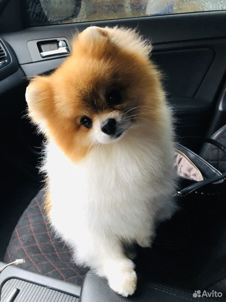 Красивый парень ищет подругу