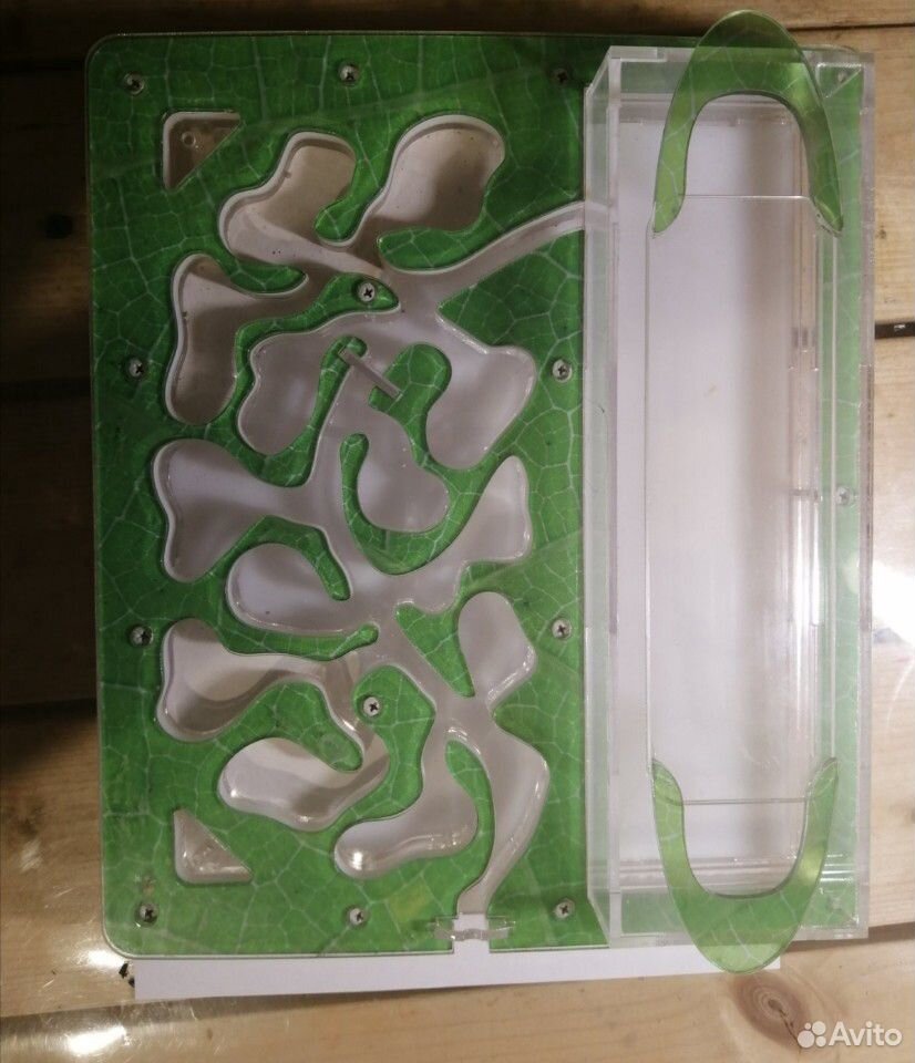 Формикарий для муравьёв