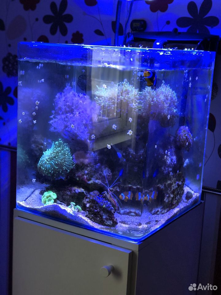 Аквариум Nano cube 60 литров