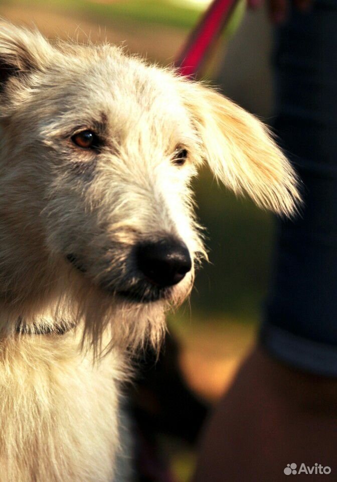 Блондинка в добрые ручки