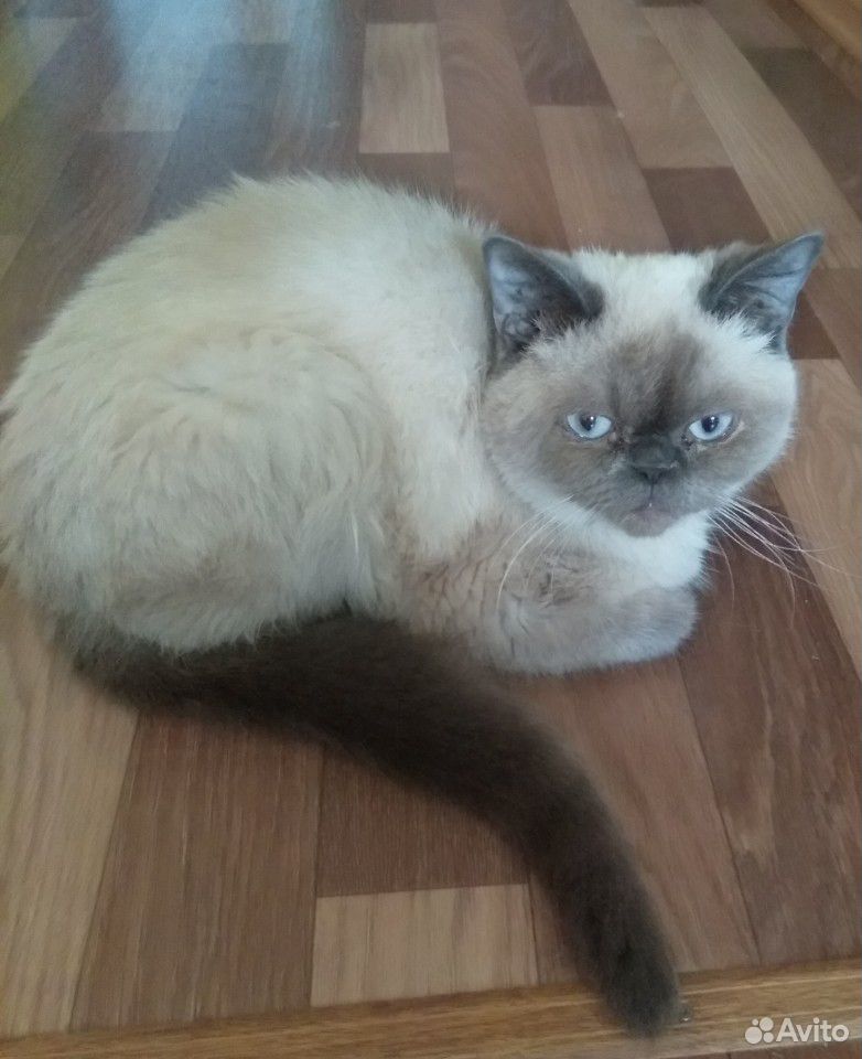 Британский