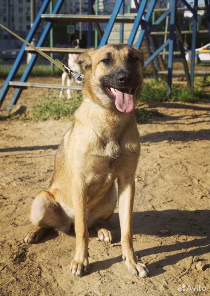 Марта и Мальта, две сестрички, в добрые руки