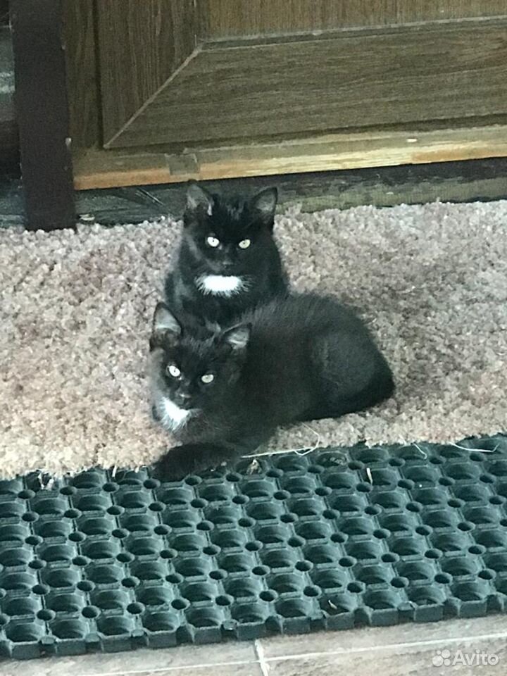 Мальчишки в ответственные руки