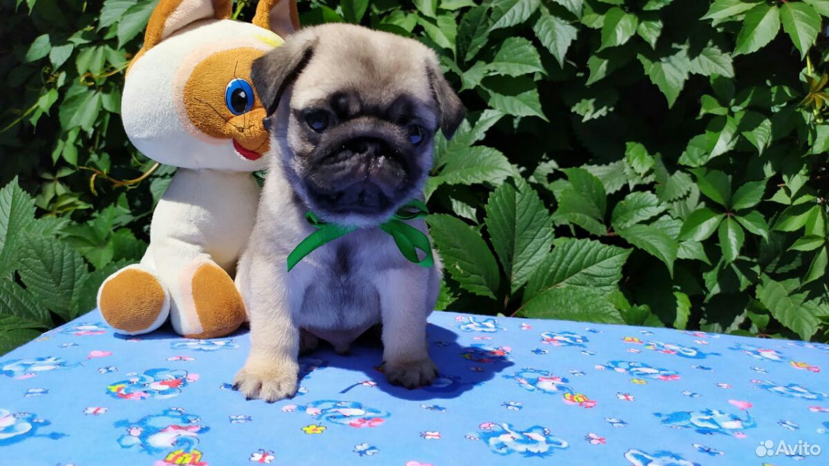 Чудо мальчишечки