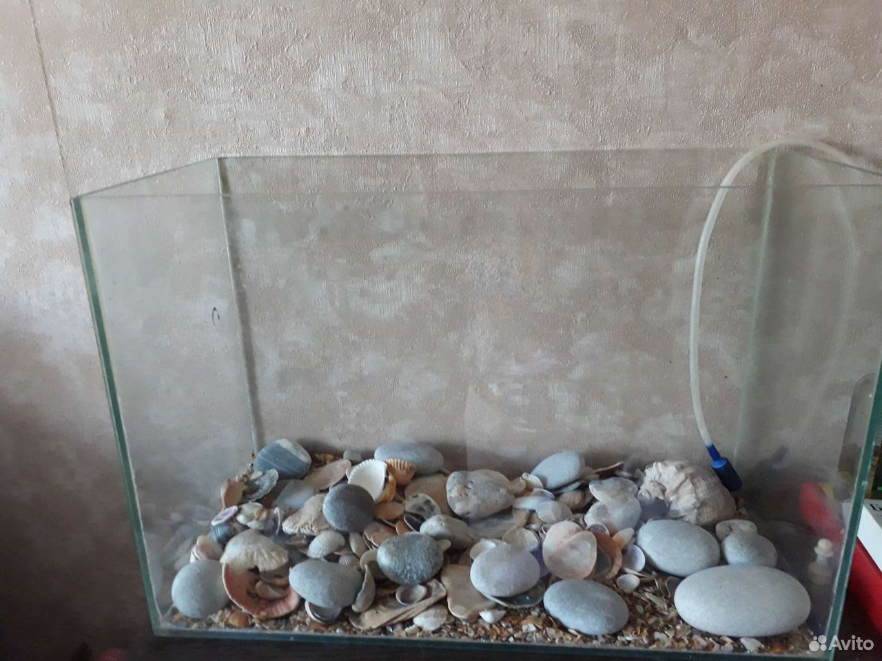 Аквариум +воздух +камни и ракушки