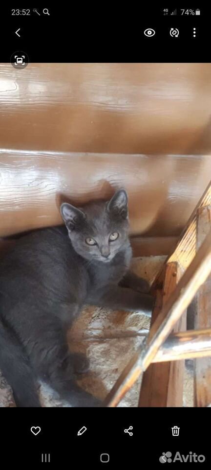 Бритнаская