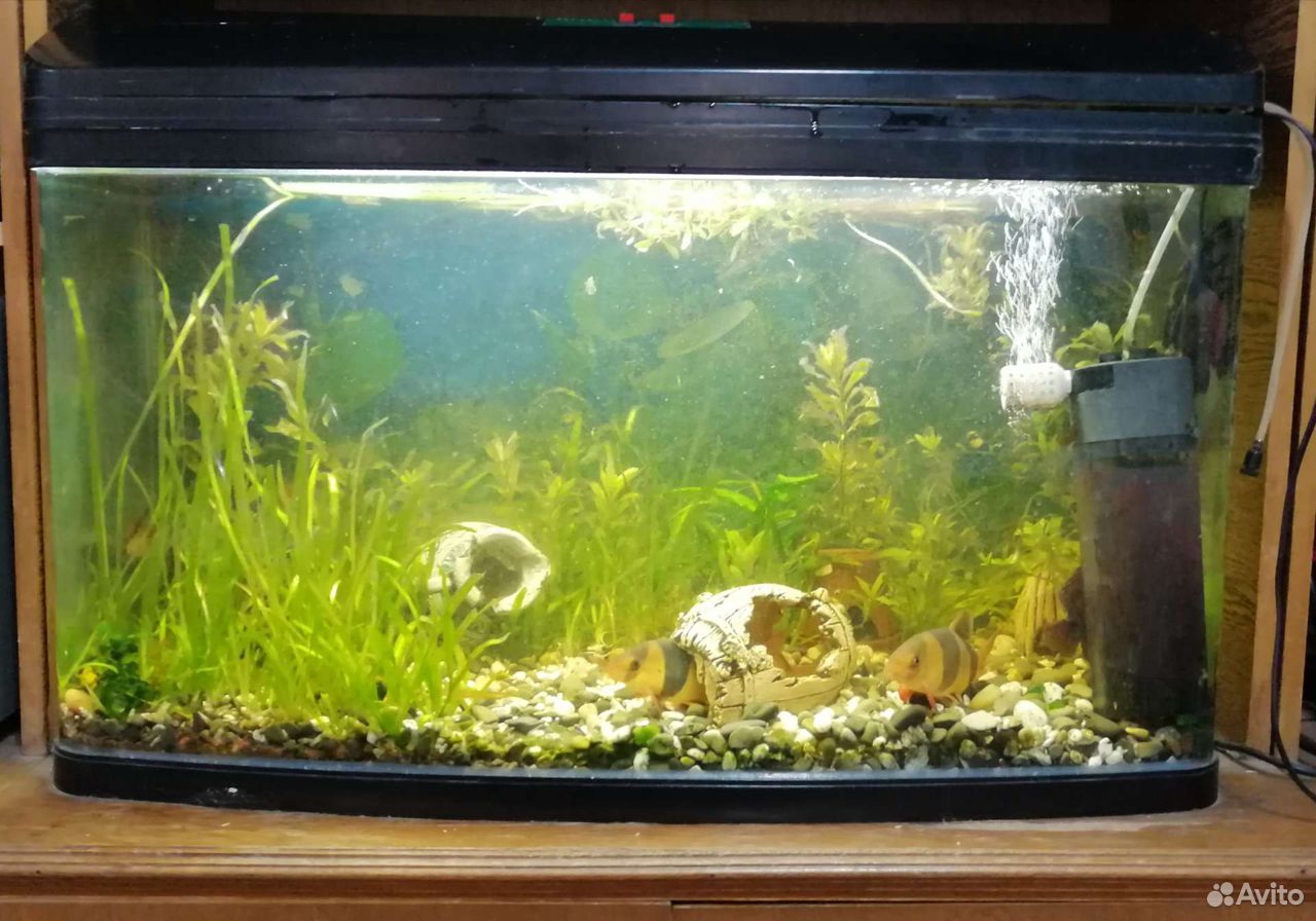 Продаю аквариум