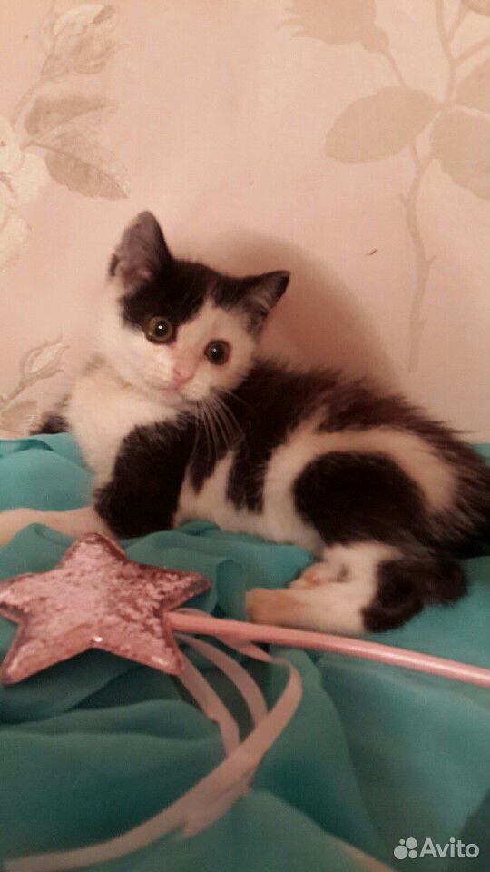 Самая ласковая девочка ищет маму