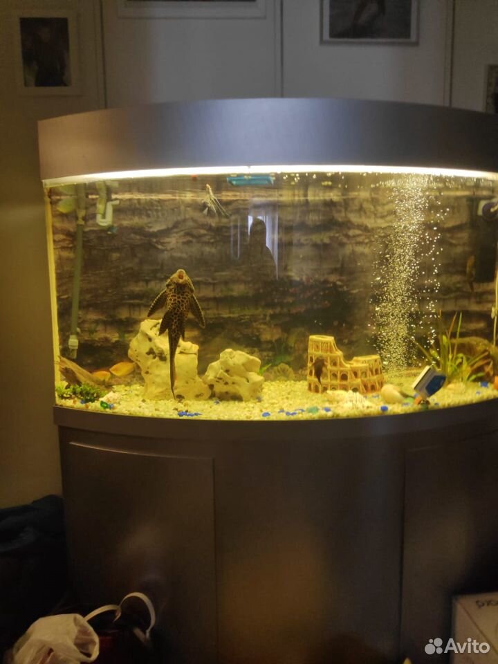 Аквариум с тумбой и фильтрами