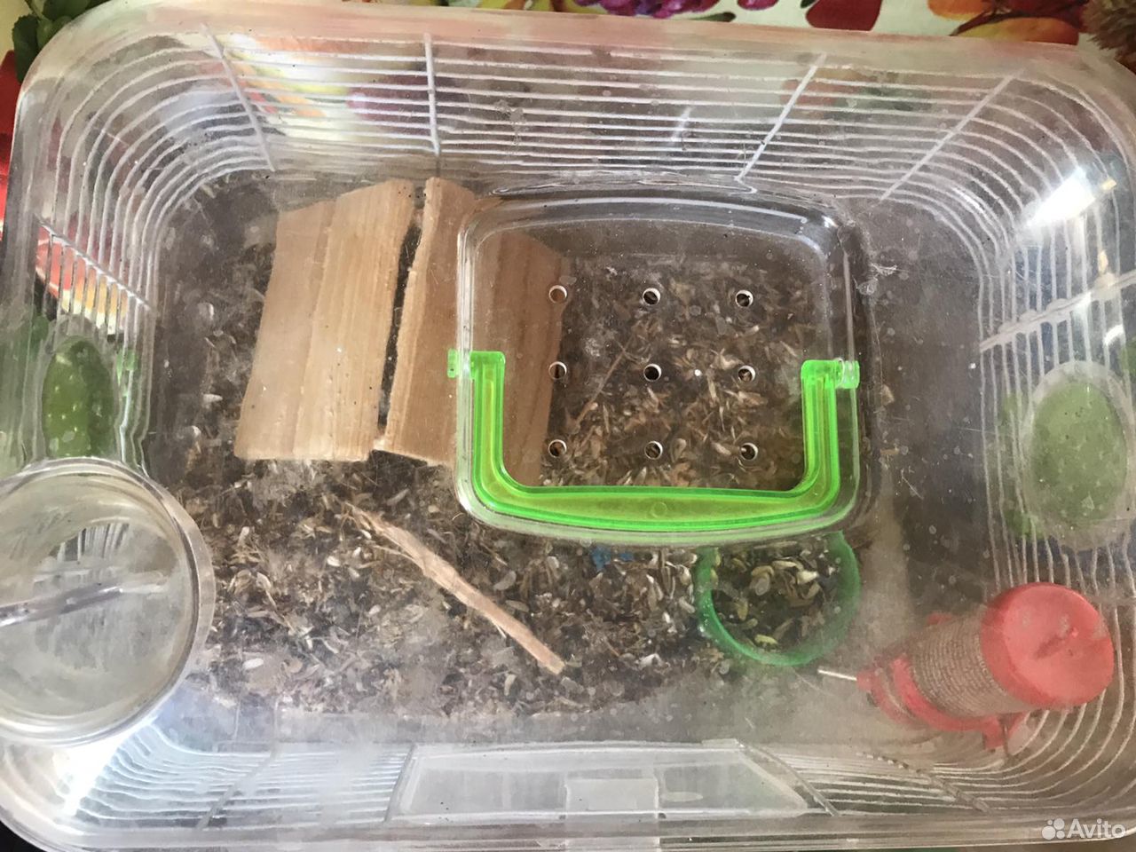 Клетка с хомячками