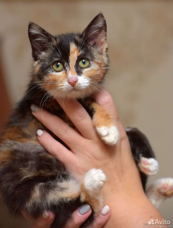 Ласкуша Лизочка ждет свою маму