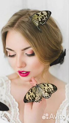 Живые бабочки, цветочные композиции с бабочкой