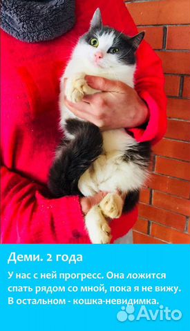 Спасенные из беды ищут свои семьи