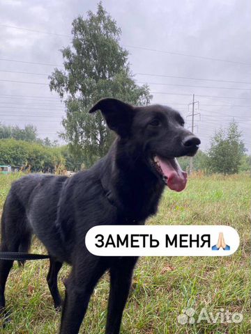 Никому не интересен