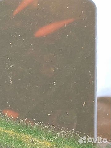 Рыбки- карпы Кои