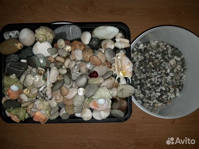 Камни Грунт Ракушки морские из Абхазии
