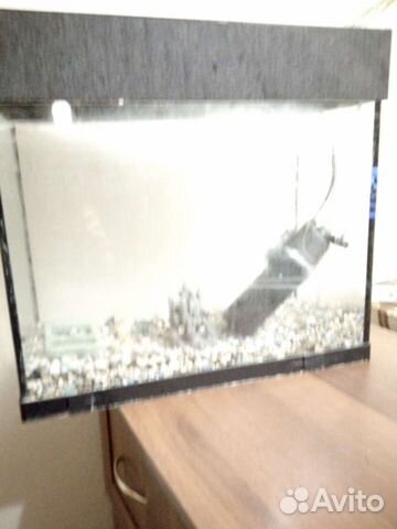 Аквариум