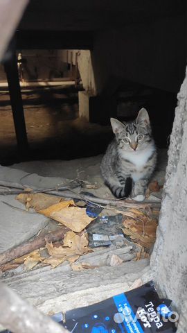 Малышка стесняшка