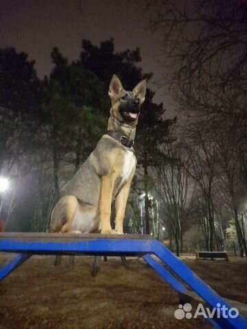 Девочка для самой лучшей семьи