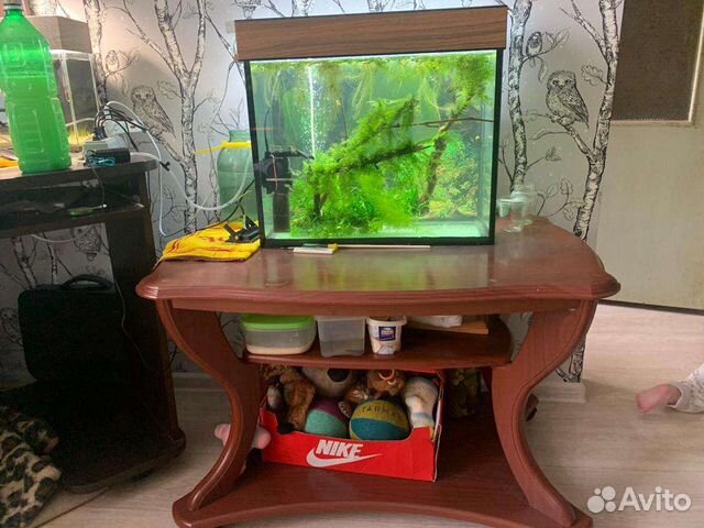 Аквариум с тумбой 50л
