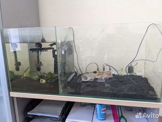 Аквариум с рыбками и фильтрами
