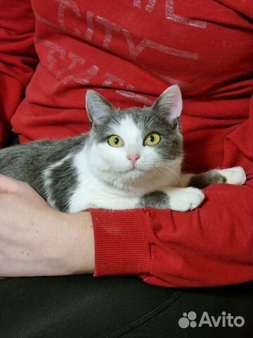 Милашка ищет дом