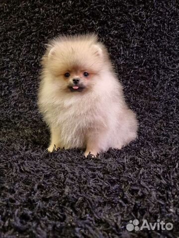 Очаровательный пупс