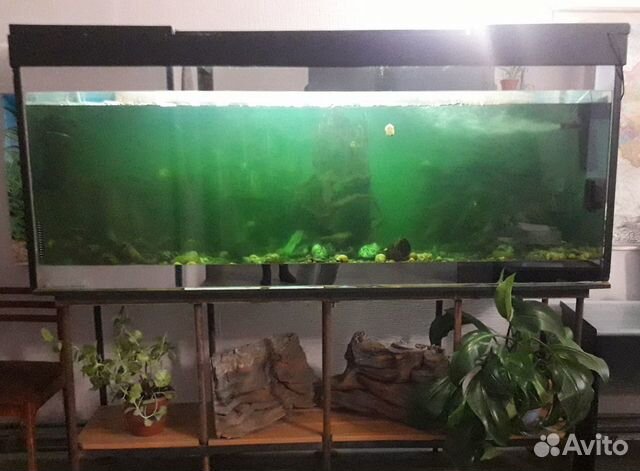 Аквариум