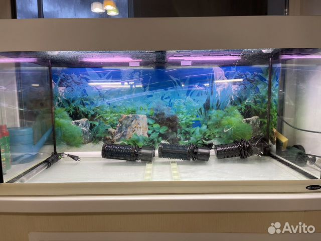Аквариум
