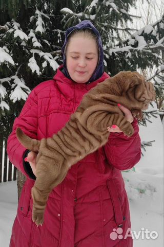 Чайниз Ледженд Умка Шоколадная Меренга