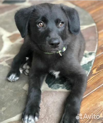 Подарите дом