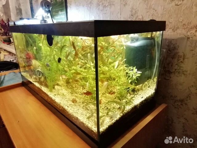 Аквариум эхейм 54 литра