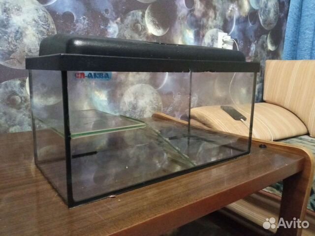 Подарю Аквариум и 2 черепашки Ниндзя