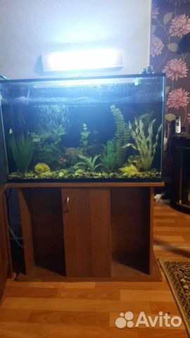 Аквариум