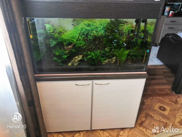 Аквариум 250 л с тумбой