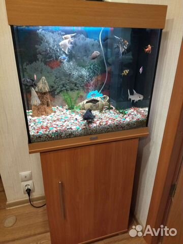Аквариум