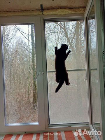 Сетки на окна антикошка 2 шт 146*60 см белые