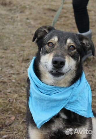 Скорей бы домой