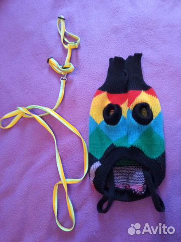 Костюм для кошки девочки и поводок