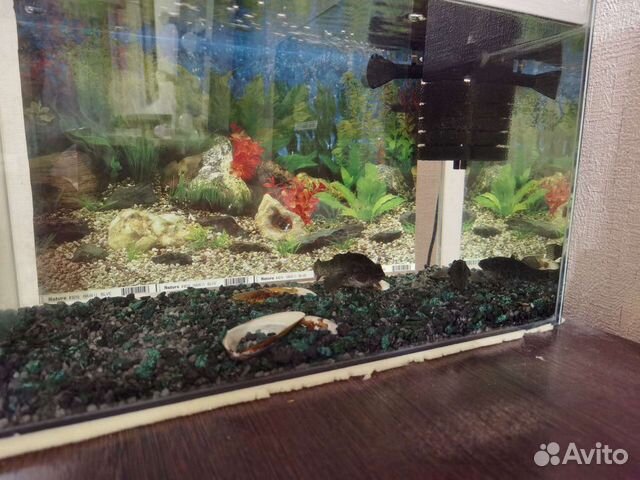 Аквариум 40л