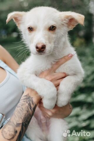 Малыш Микки 2,5-3 месяца