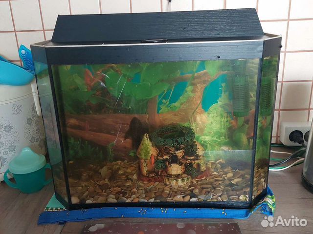 Аквариум