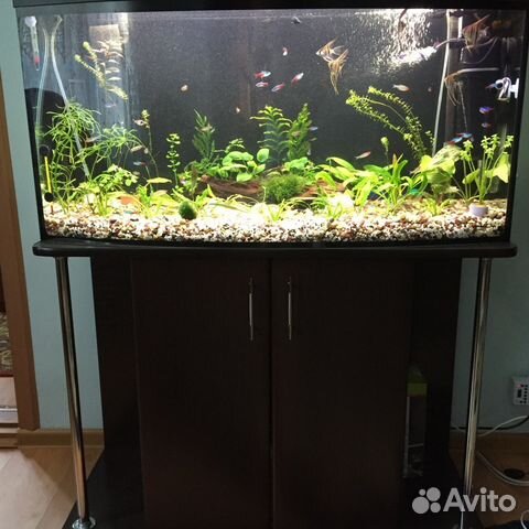 Аквариум