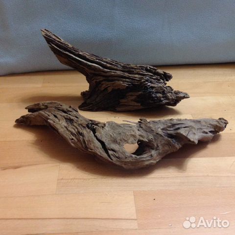 Для аквариума коряги Мангра