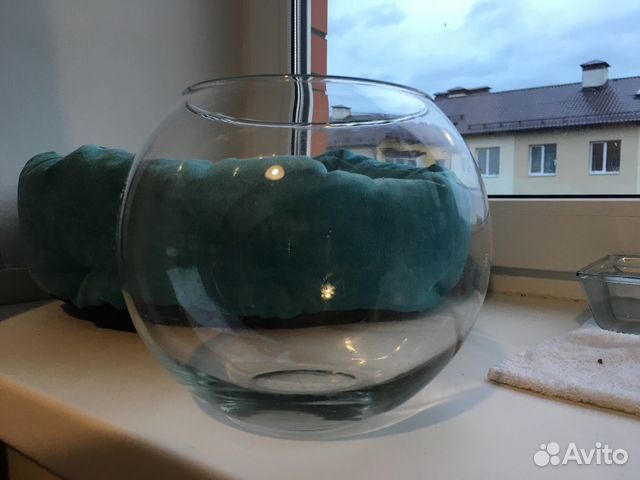 Аквариум шар 3 литра
